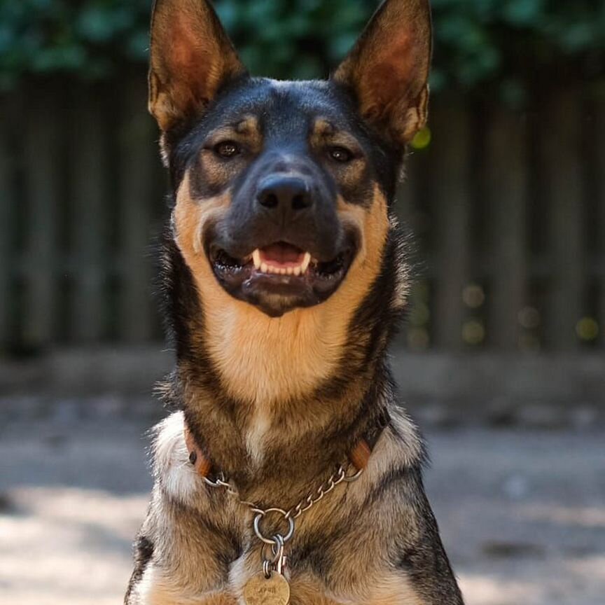 Редкой душевной красоты мальчик Тони