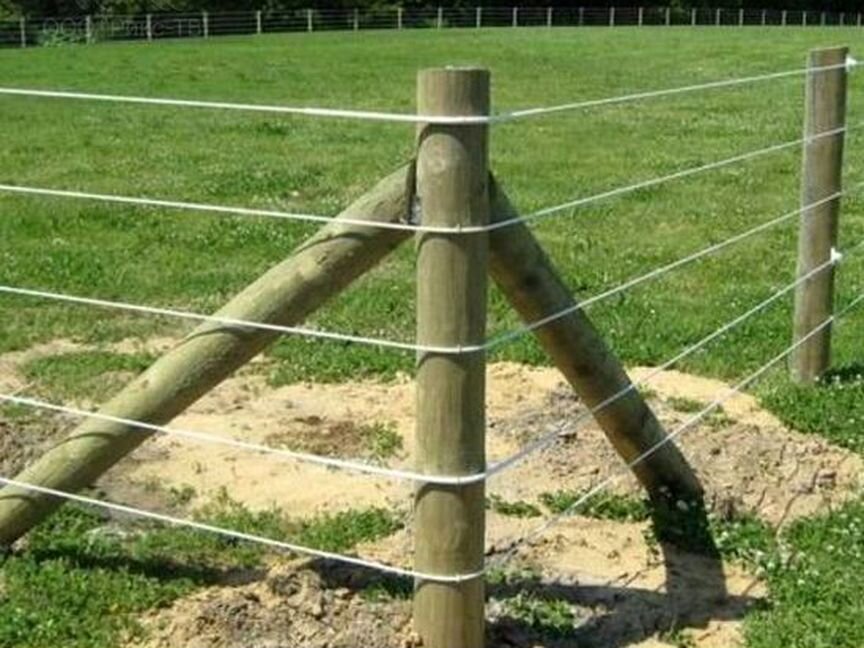 Электропастух для молочных крс и телят