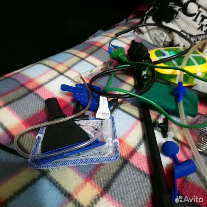 Аквариумистика