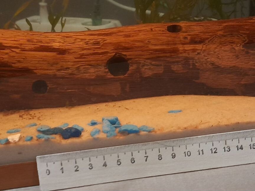 Каряга для аквариума