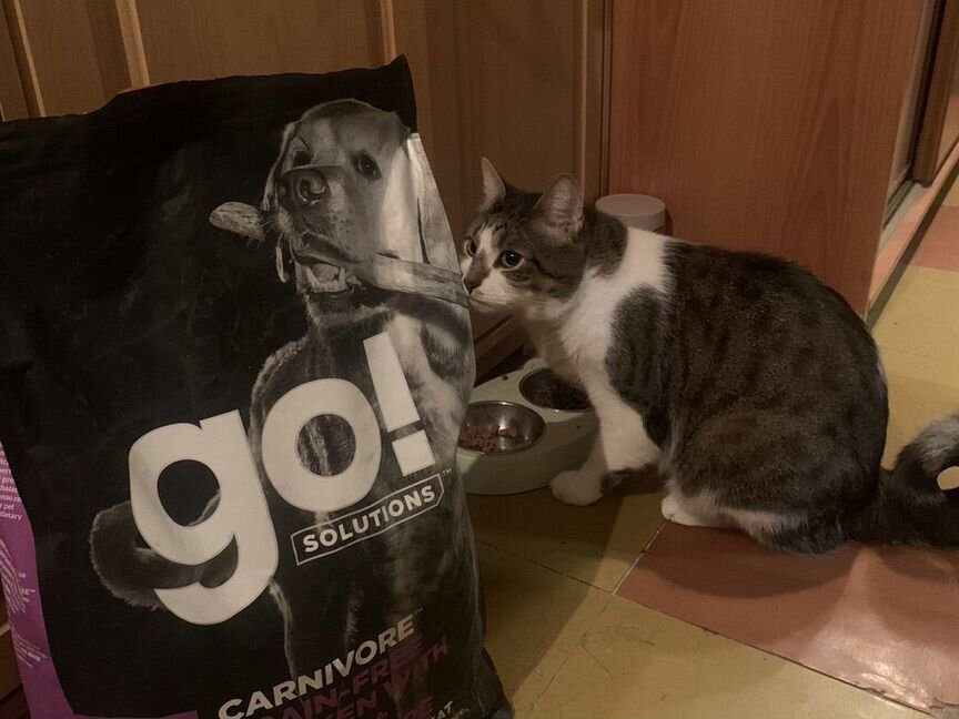 Корм для собак GO Solutions