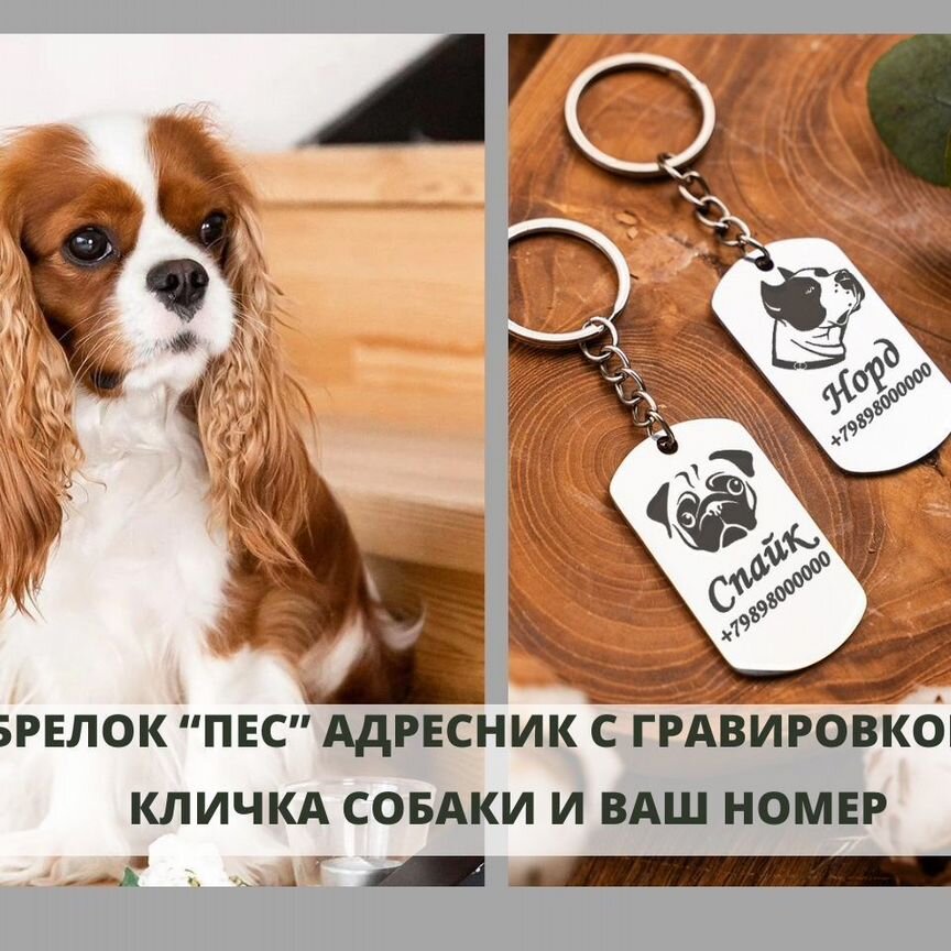 Адресник «Пес» для собак и кошек. Гравировка кличк