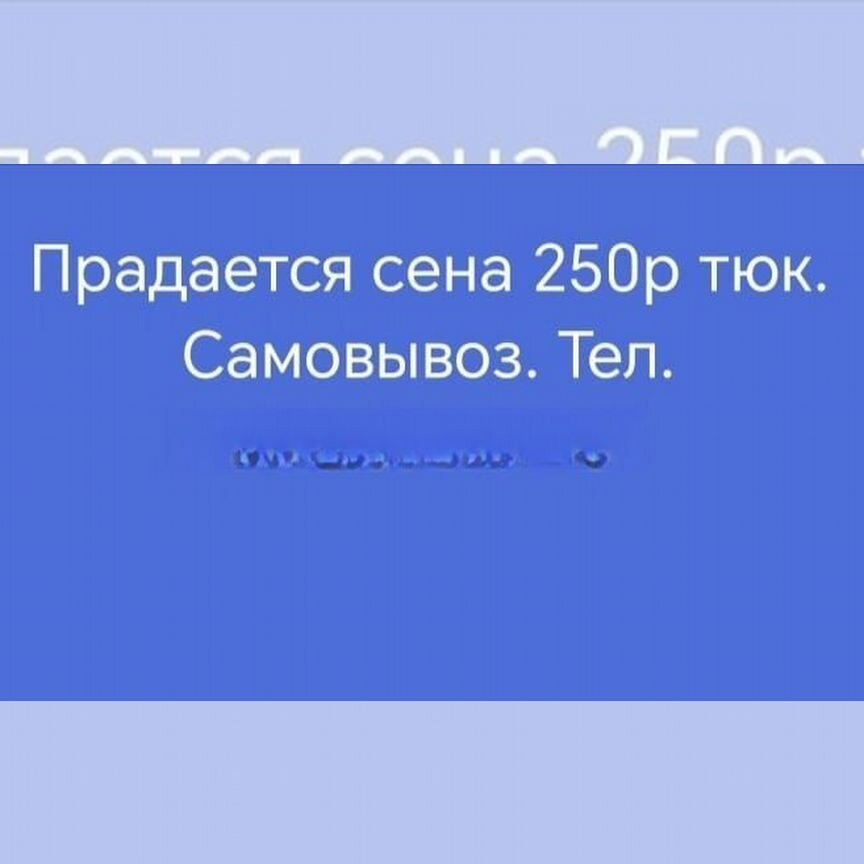 Сено в тюках
