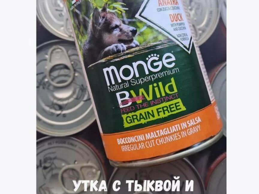 Монж влажный корм для собак
