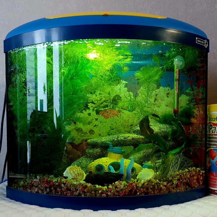 Аквариум панорамный 30 л с рыбками и креветками