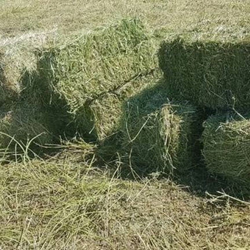 Сено в кипах, достаки нет