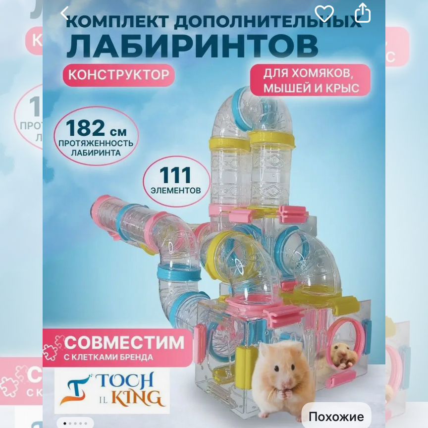 Лабиринт для хомяка