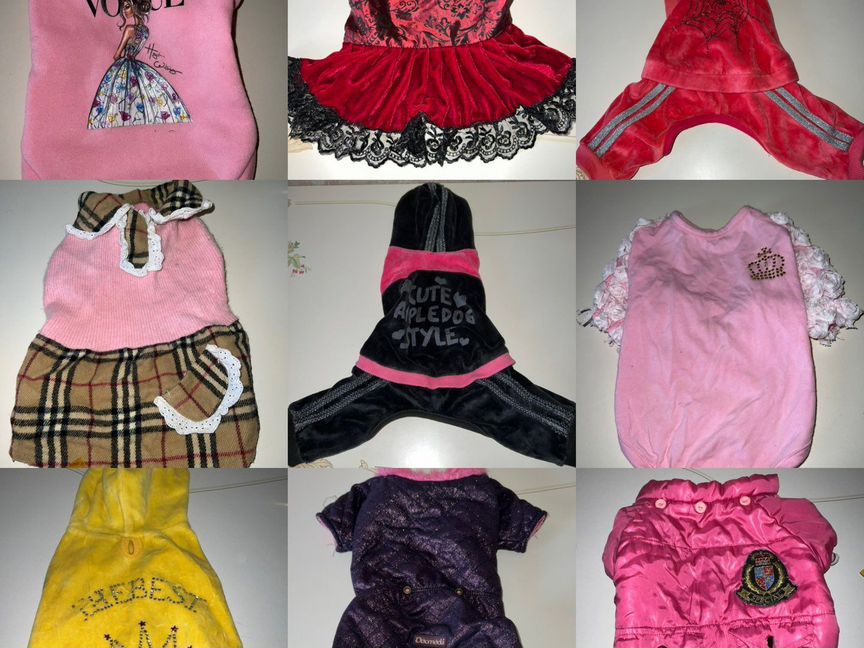 Одежда для маленьких собак