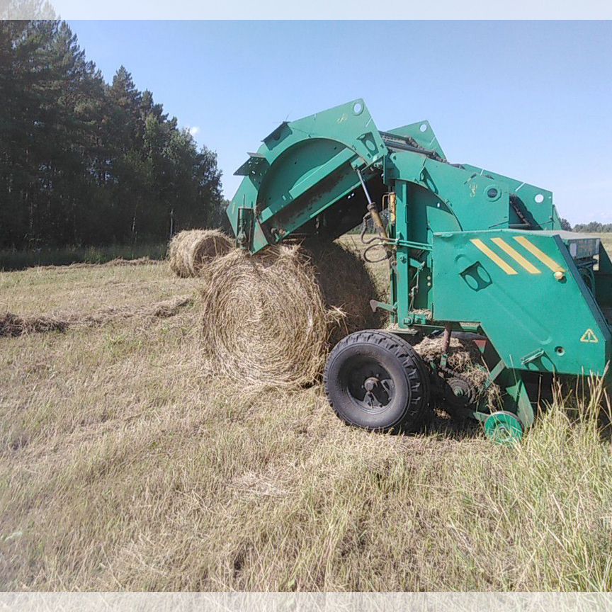 Сено август 2023