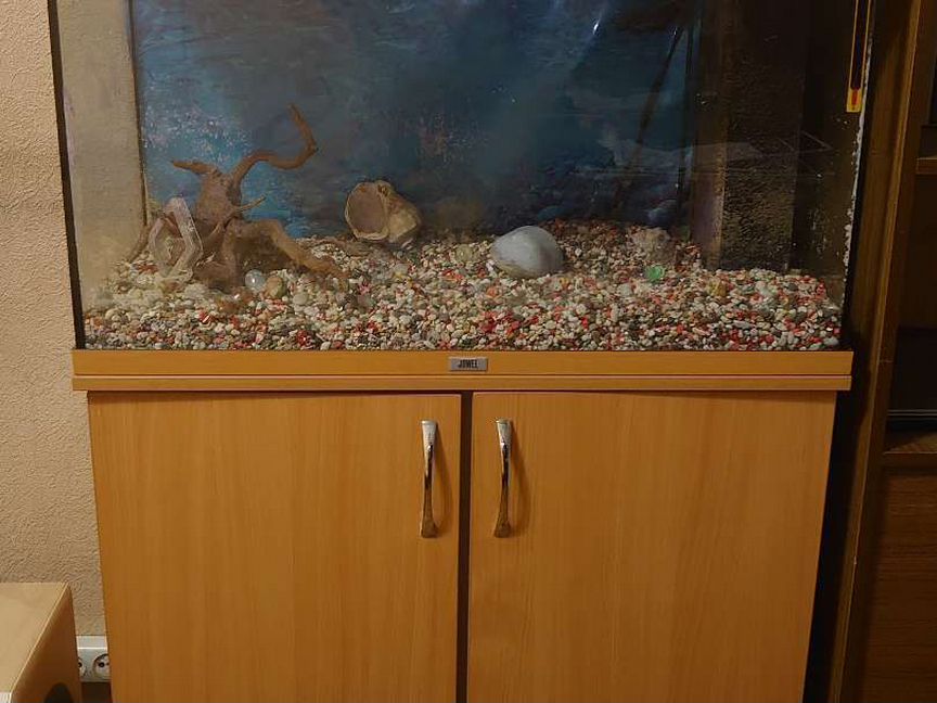 Аквариум juwel 160л с тумбой