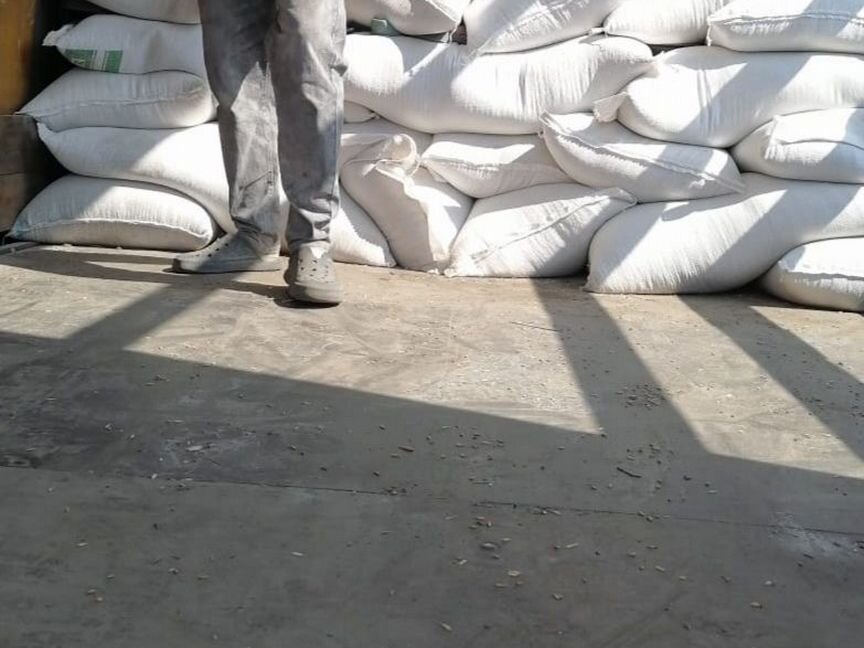 Зерно Ассортимент Пшеница ячмень кукуруза горох