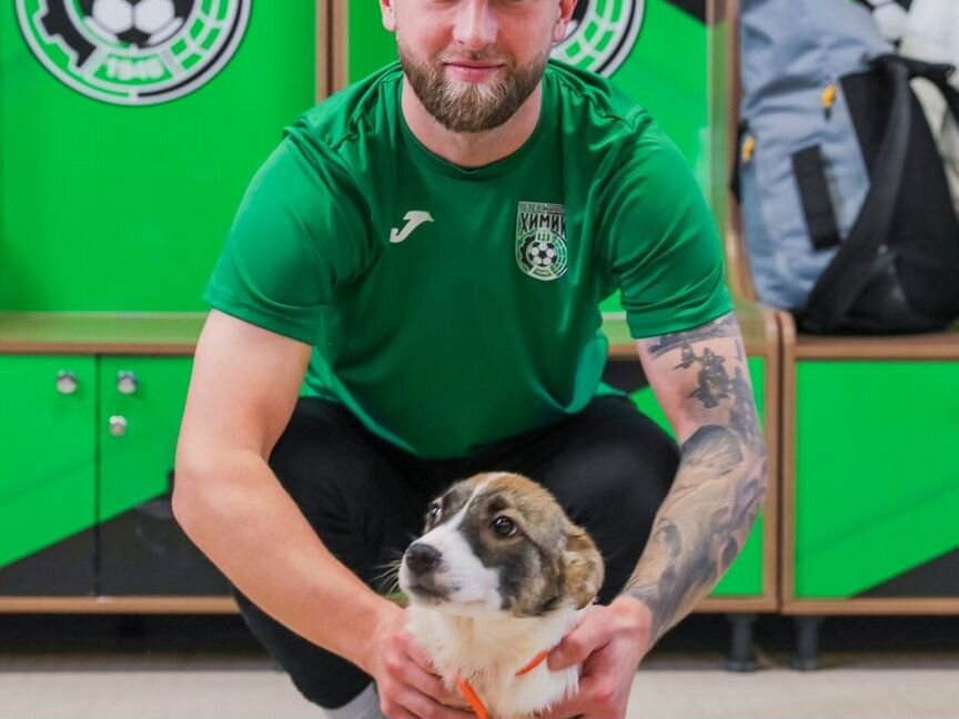 Щенок в добрые руки бесплатно