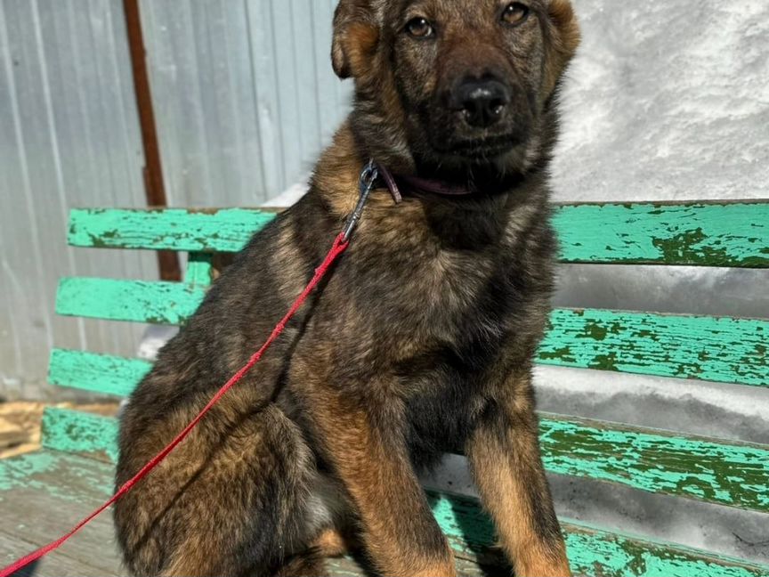 Малышка 3,5 мес