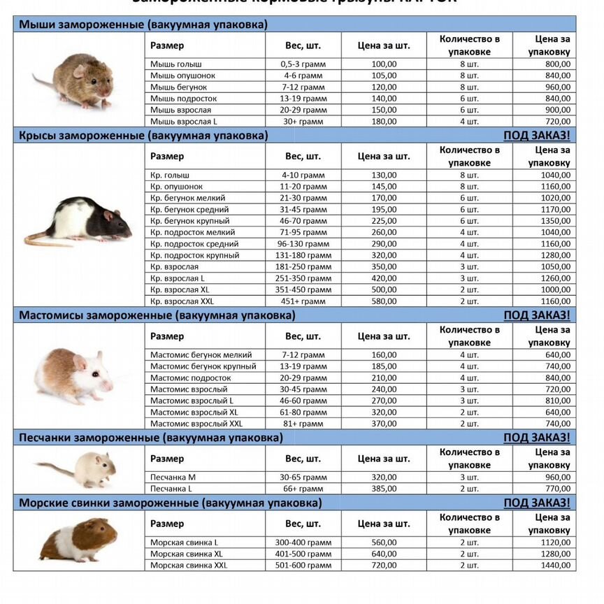 Кормовые мыши замороженные