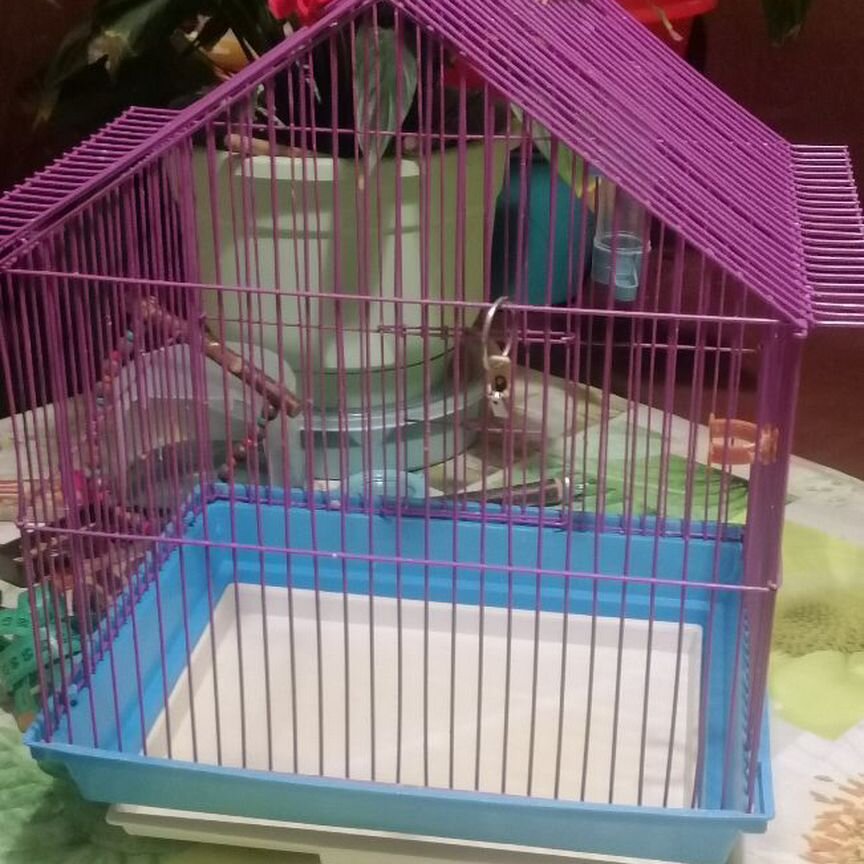 Клетка для канареек