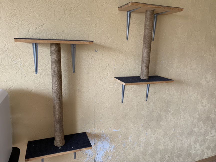 Домик, коктеточка, стойки настенные для кошки