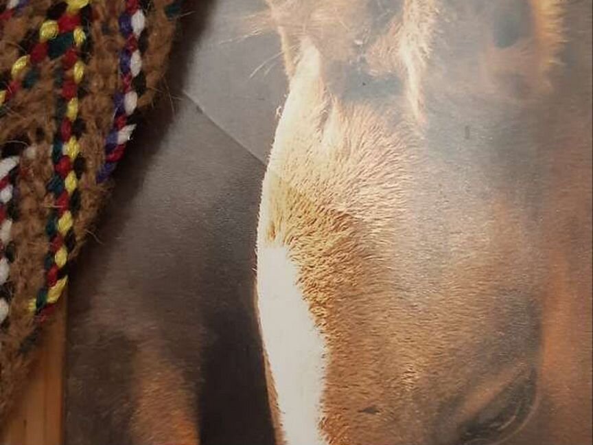 Аладжа, обереги для лошади, рептухи