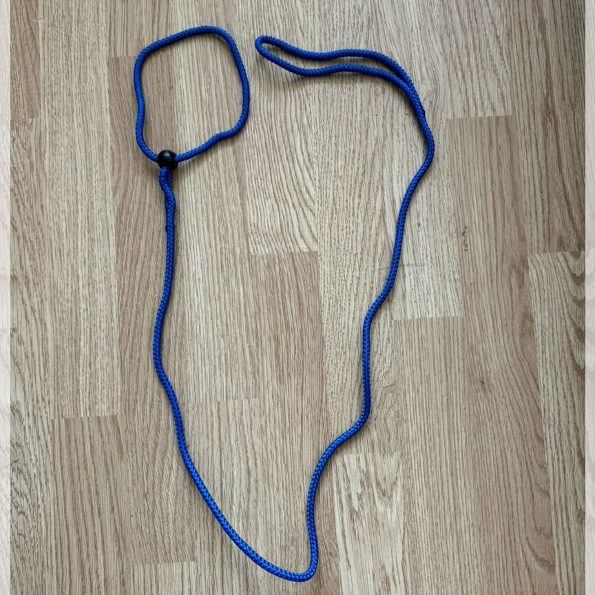 Ринговка для собак