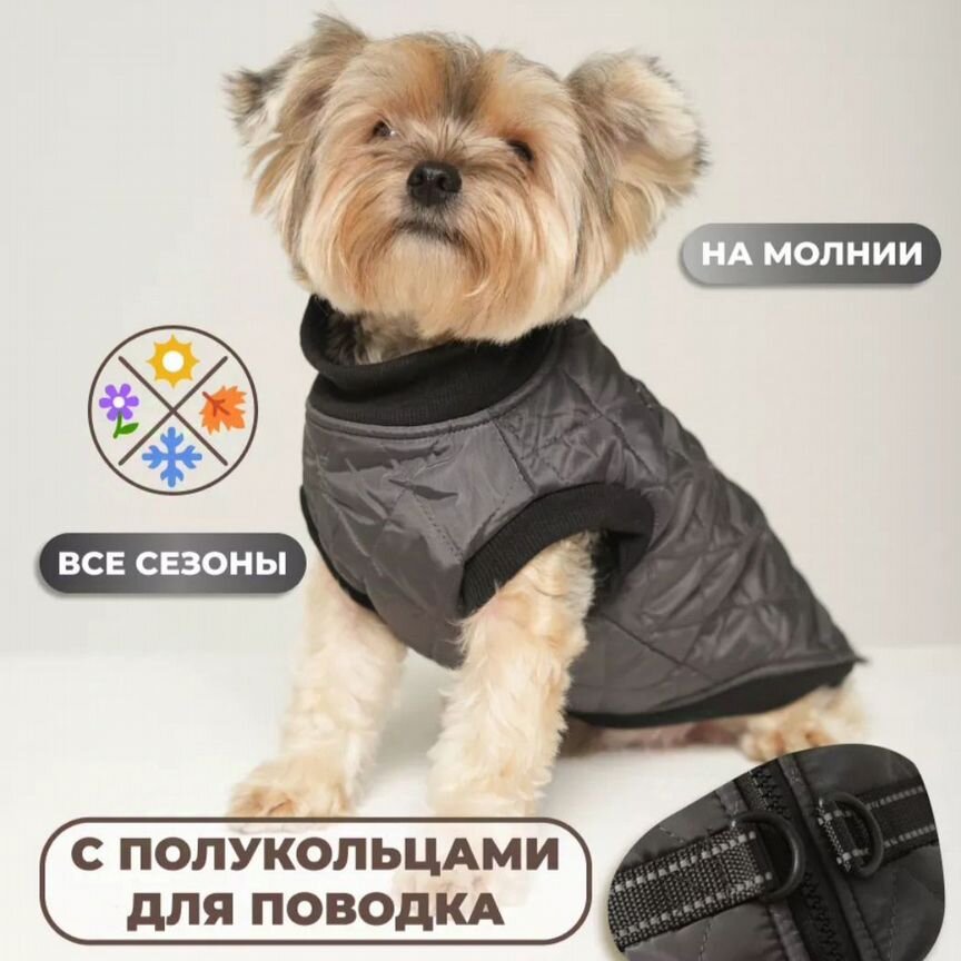 Жилетка для собак