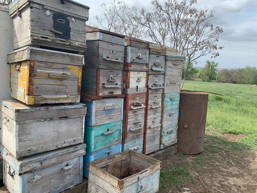 Пчелорамки дадан Б/У