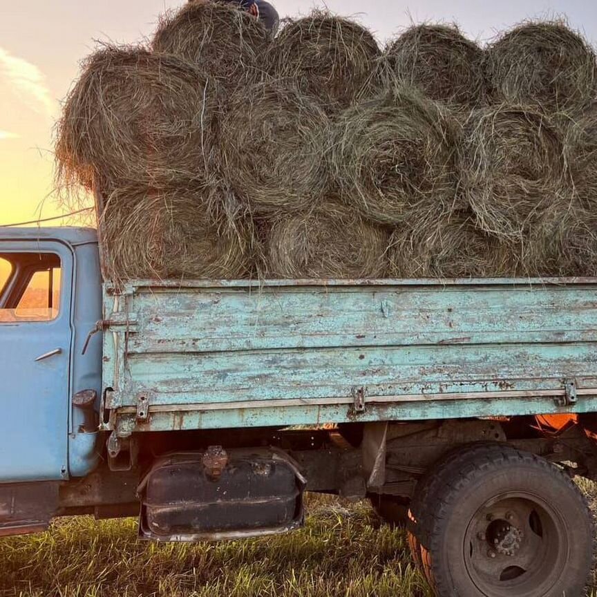 Сено в тюках 35-40кг