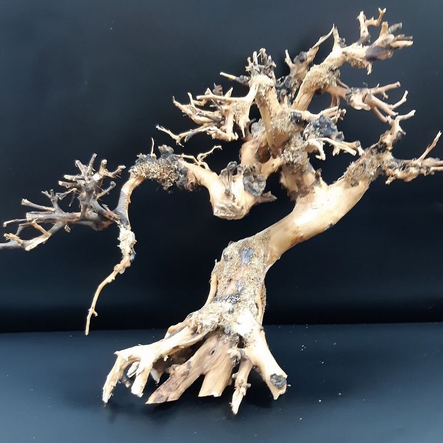 Коряга "Бонсай" 25х13х20см