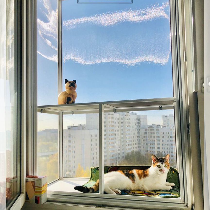 Балкон для кошек на окна
