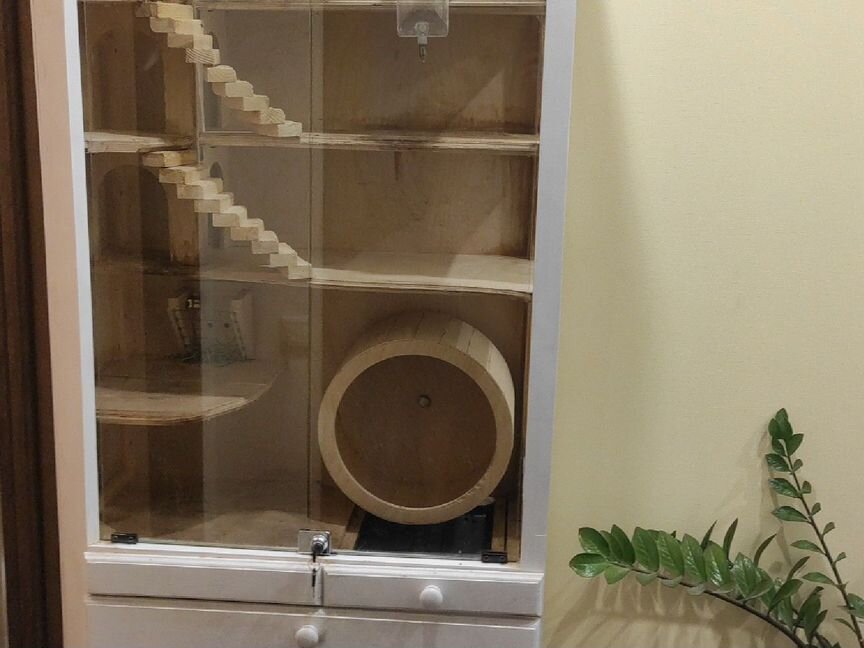 Витрина для шиншиллы