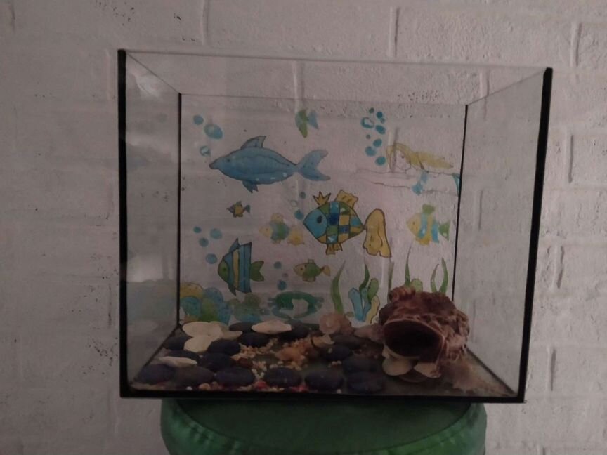 Аквариум + фильтр +декоративные элементы