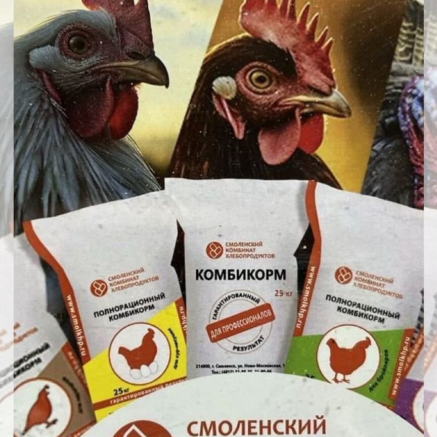Комбикорм для кур несушек в Пениках