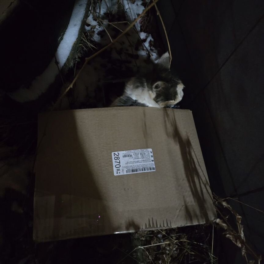 Пока ещё есть шанс