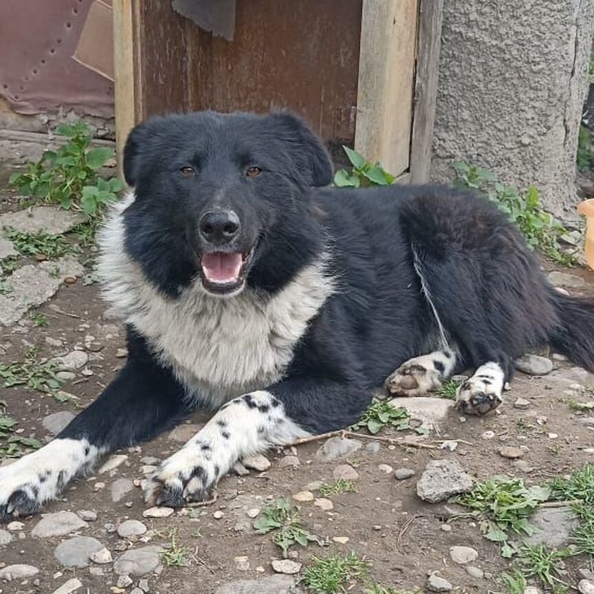 Мальчик 1 год очень воспитанный