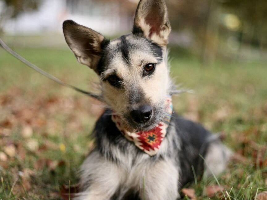 Найда ищет родную семью