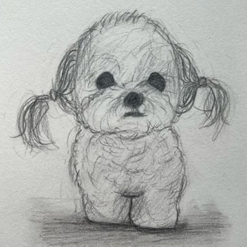 Рисую ваших питомцев