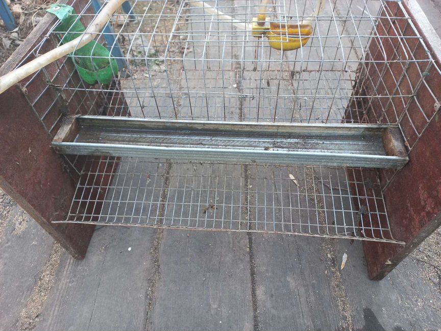 Клетка для перепелок