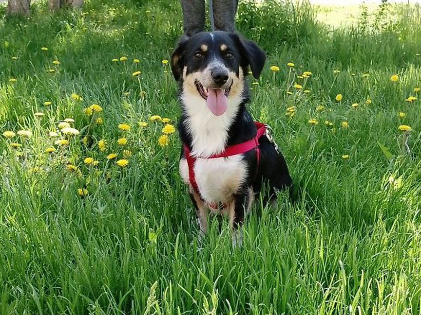 Добрым людям