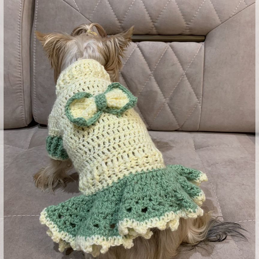 Одежда для собак