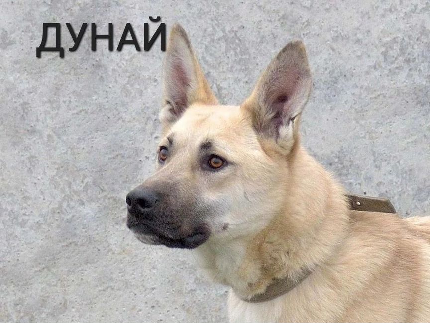 Брат с сестрой ищут семью