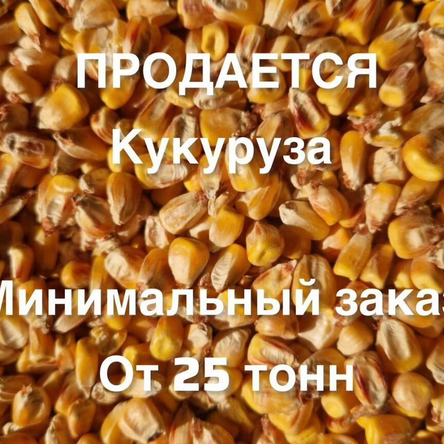 Кукуруза для животных