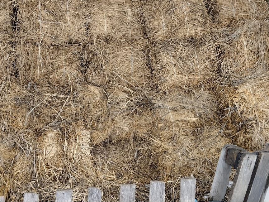 Сено в тюках