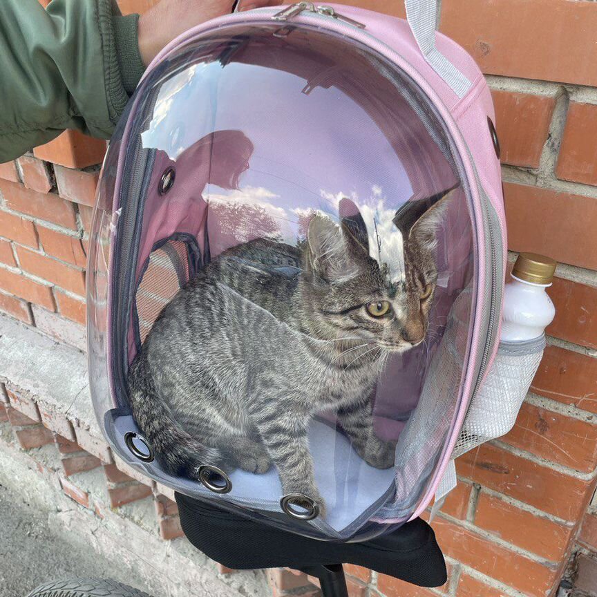 Рюкзак - переноска для кошки