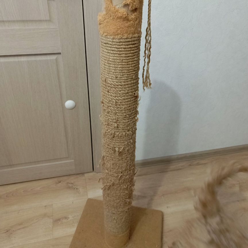 Когтеточка бу