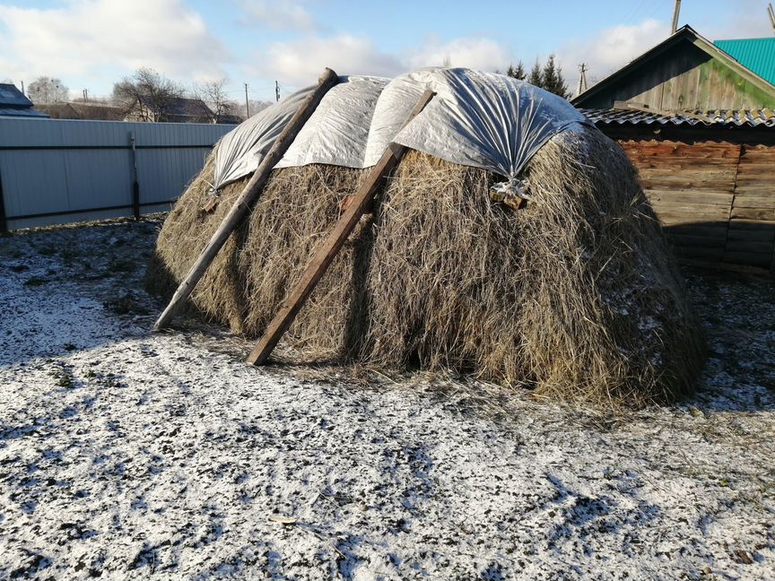Сено
