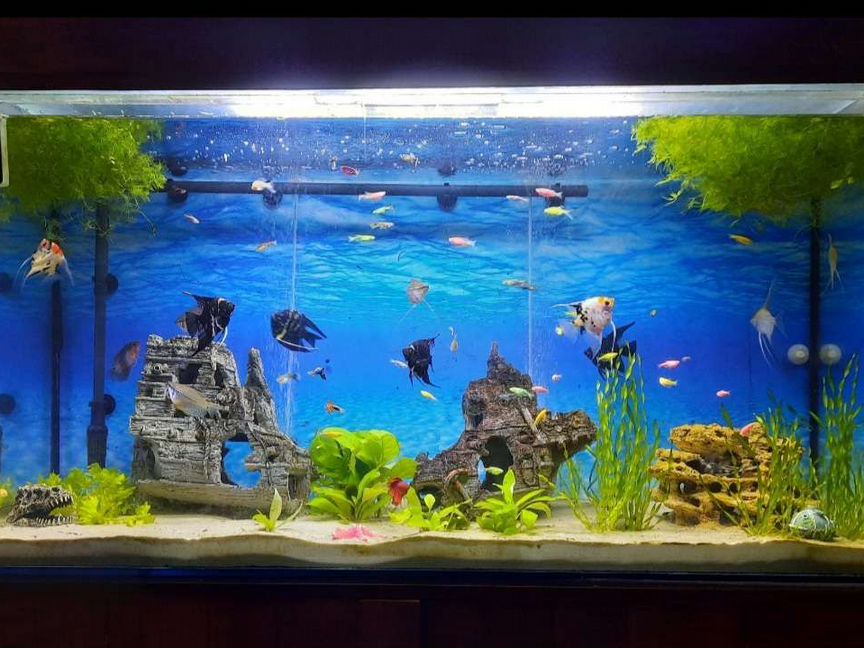 Аквариум с тумбой 320 литров