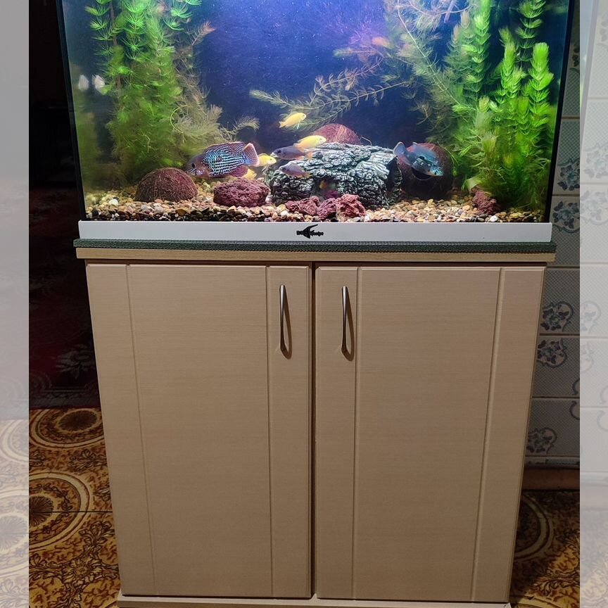 Аквариум Биодизайн 100 литров с тумбой