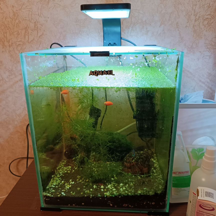 Креветкарий Aqael Shrimp Set 19l