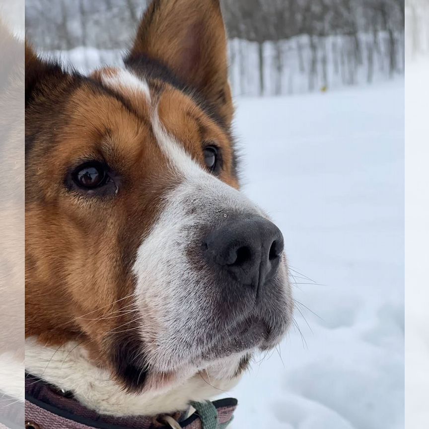 Умнейшая девочка Милка ждёт мампапу