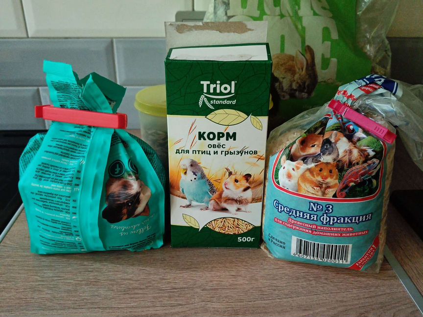 Корм для морских свинок