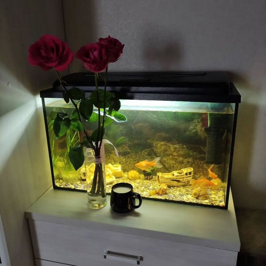 Аквариум 75 литров