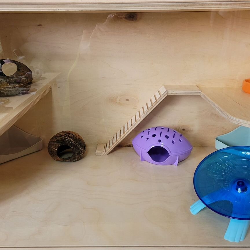 Витрина для грызунов